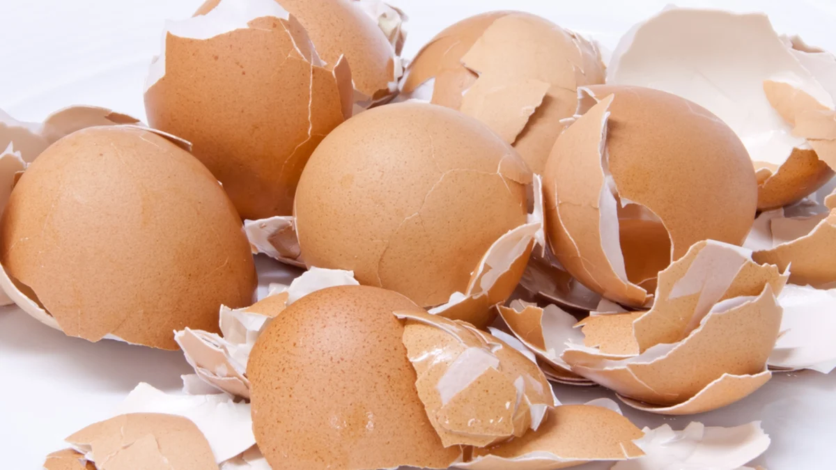 Kog æggeskaller i en gryde - det er virkelig smart og kan spare dig for ...