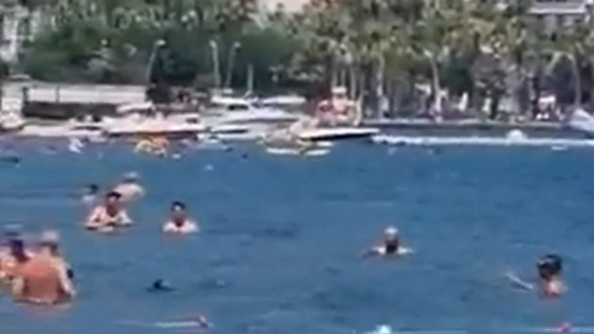 Haj tæt på turiststrand i Tyrkiet: Så angriber de badende gæster den