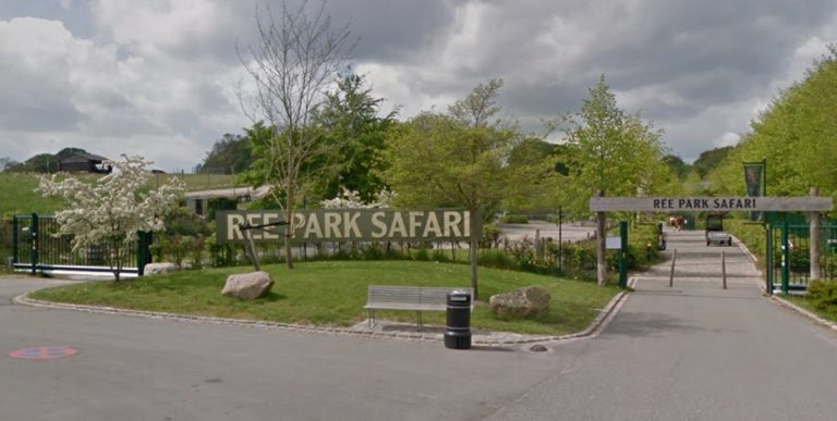 Ree Park udsender efterlysning: Hjælp os med at finde dem