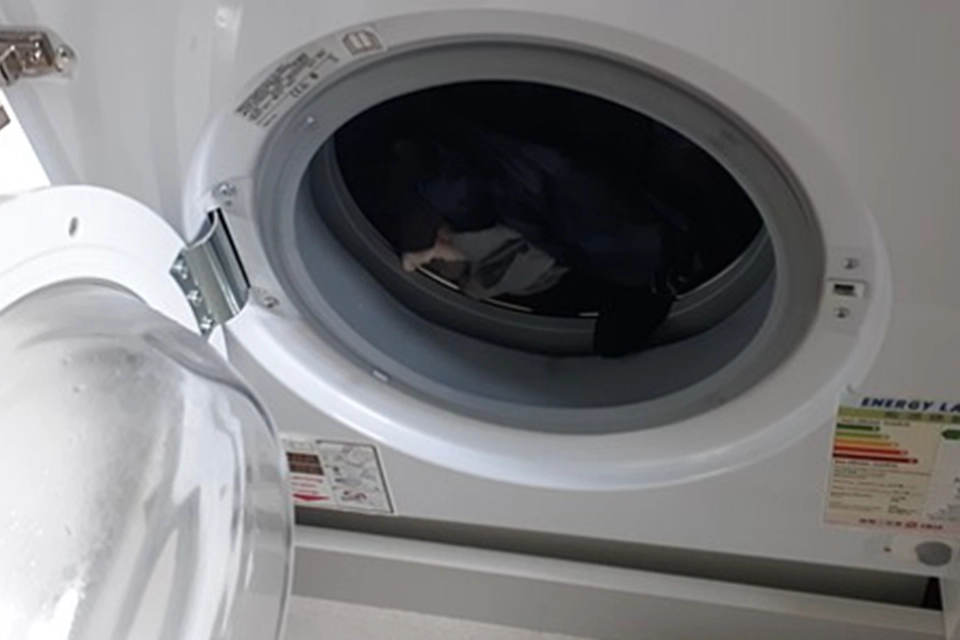 Derfor bør du aldrig lade vaskemaskinens låge stå åben efter en vask